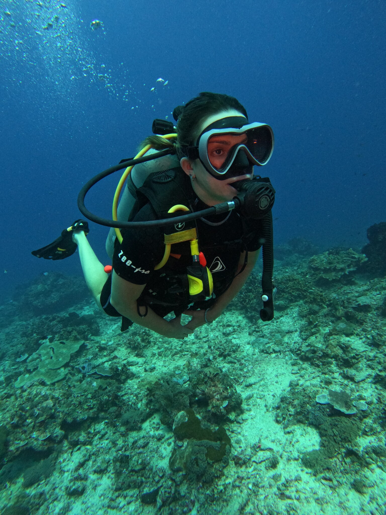 Home - PADI Courses | IDC Center | Fundive | Diving Gili Trawangan